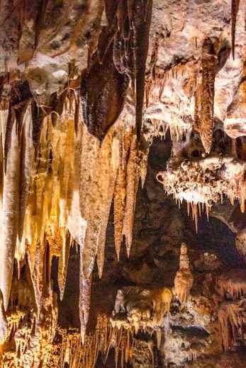 Experience the Jenolan Caves tours and Walks