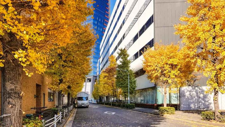 Autumn in Japan - Exploring the Golden Route