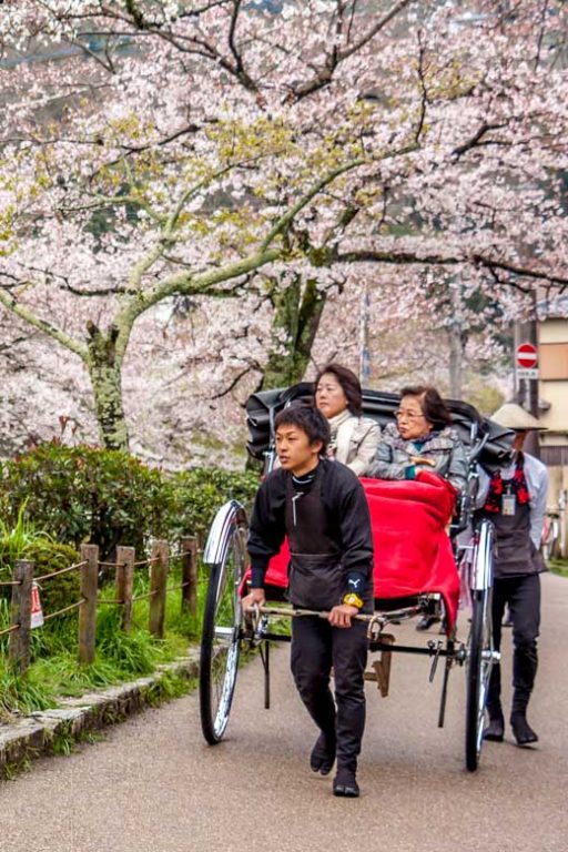 Philosophers Path in Kyoto