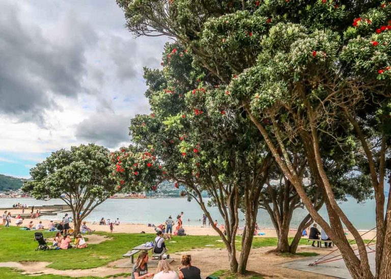 Things to do in Wellington | City Guide