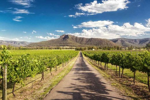 The 20+ best things to do in Maitland, NSW