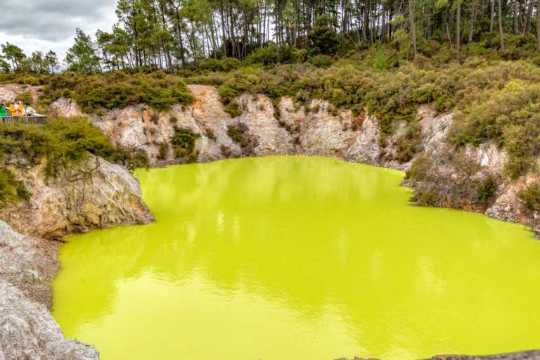 Wai-o-Tapu Thermal Wonderland : A Visitors Guide