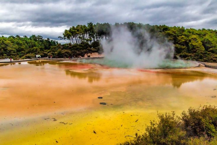 Which Rotorua Geothermal Park to Visit