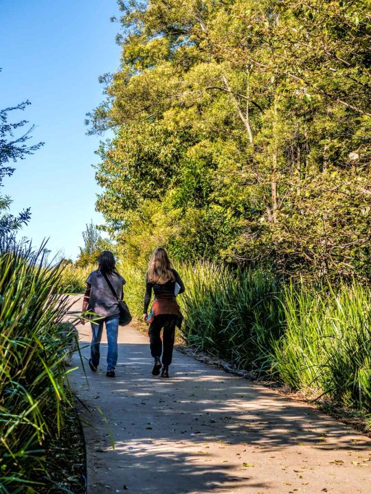 Things to do in Maleny | Day trip and weekender ideas