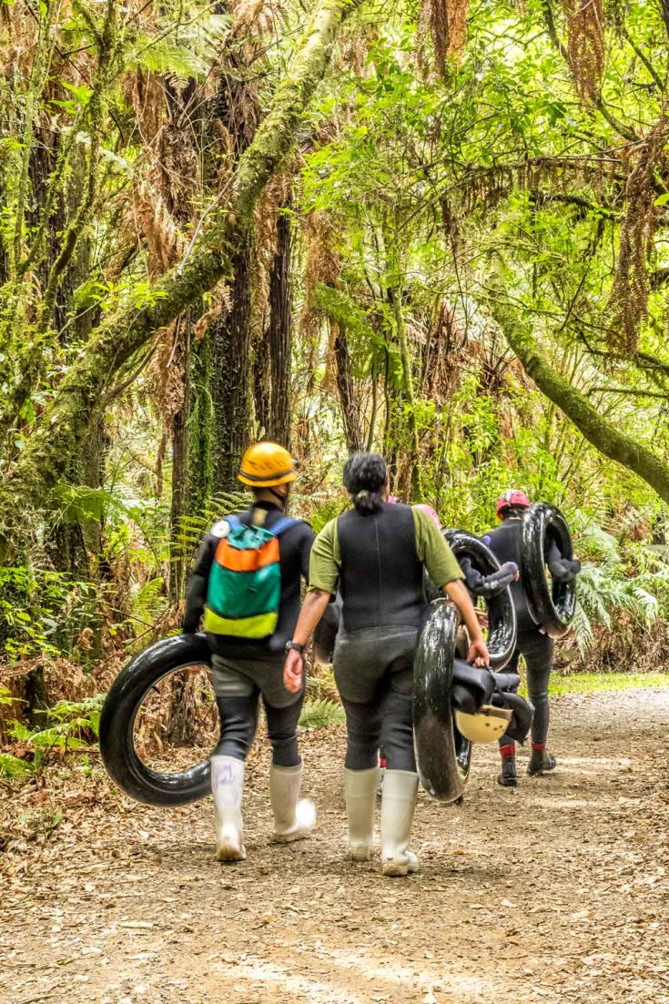 The best things to do in Waitomo, New Zealand