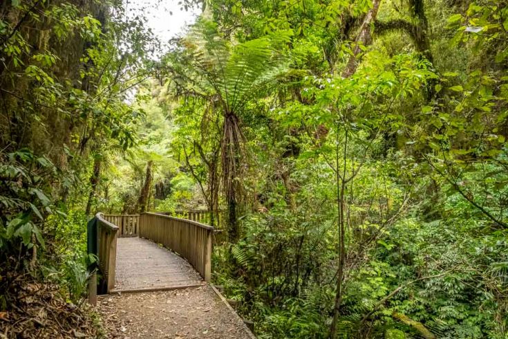 The best things to do in Waitomo, New Zealand