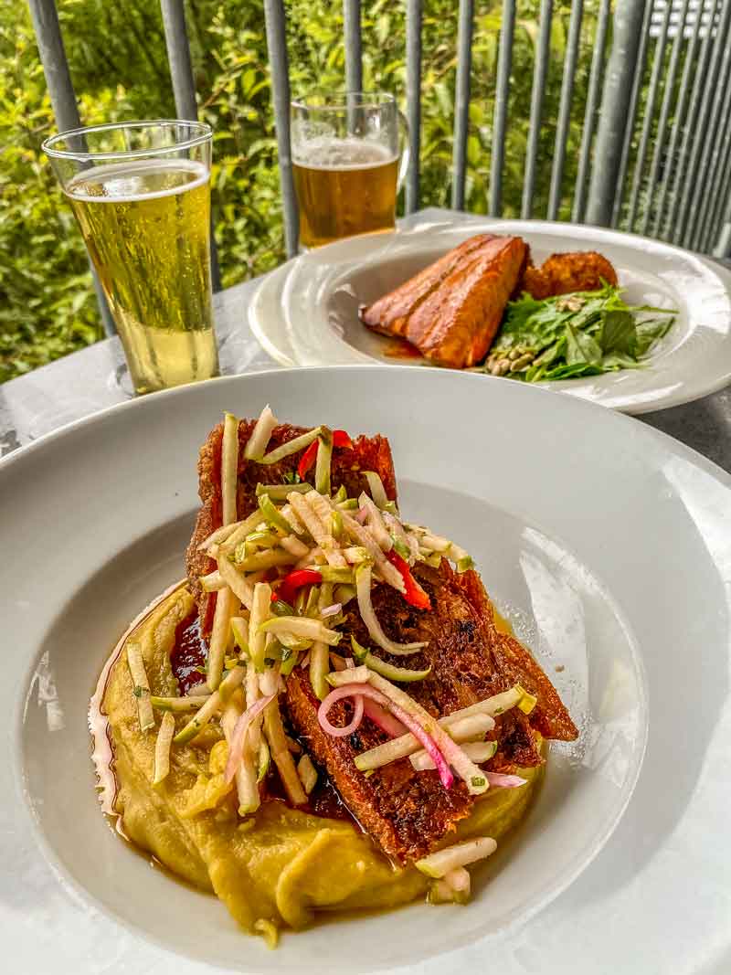 The best things to do in Waitomo, New Zealand