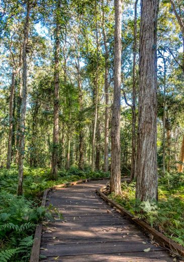 12 fun things to do in Redlands this weekend