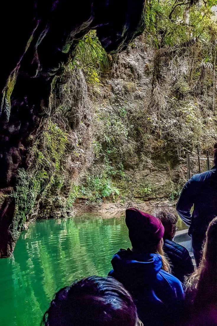 The best things to do in Waitomo, New Zealand
