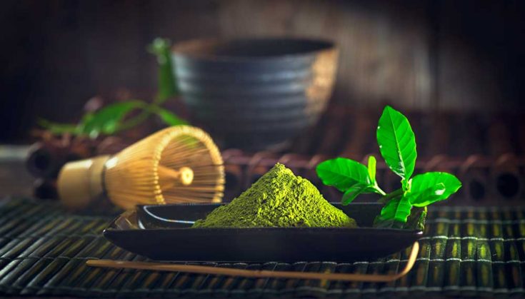 Experience the tea ceremony in Japan