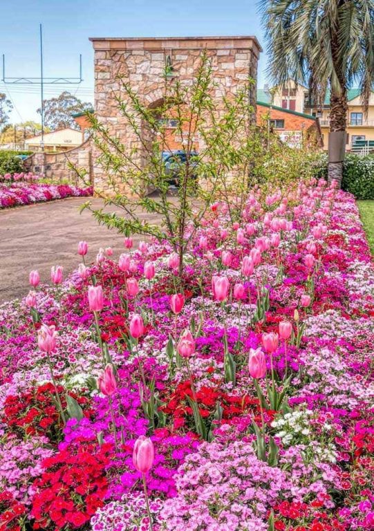 15 top things to do in Toowoomba