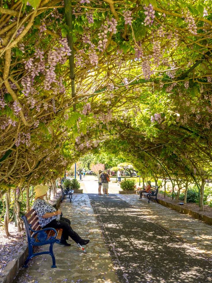 15 top things to do in Toowoomba