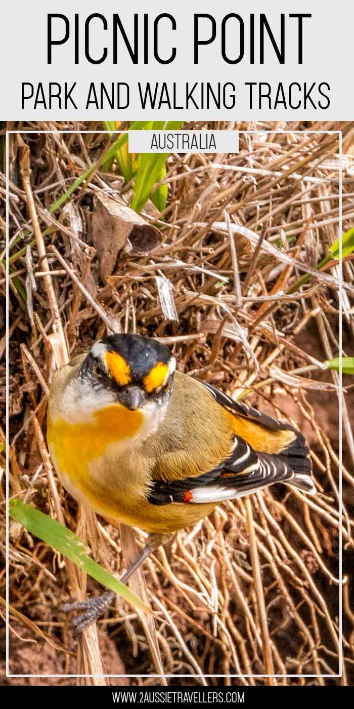 Picnic Point park and walking tracks - Toowoomba