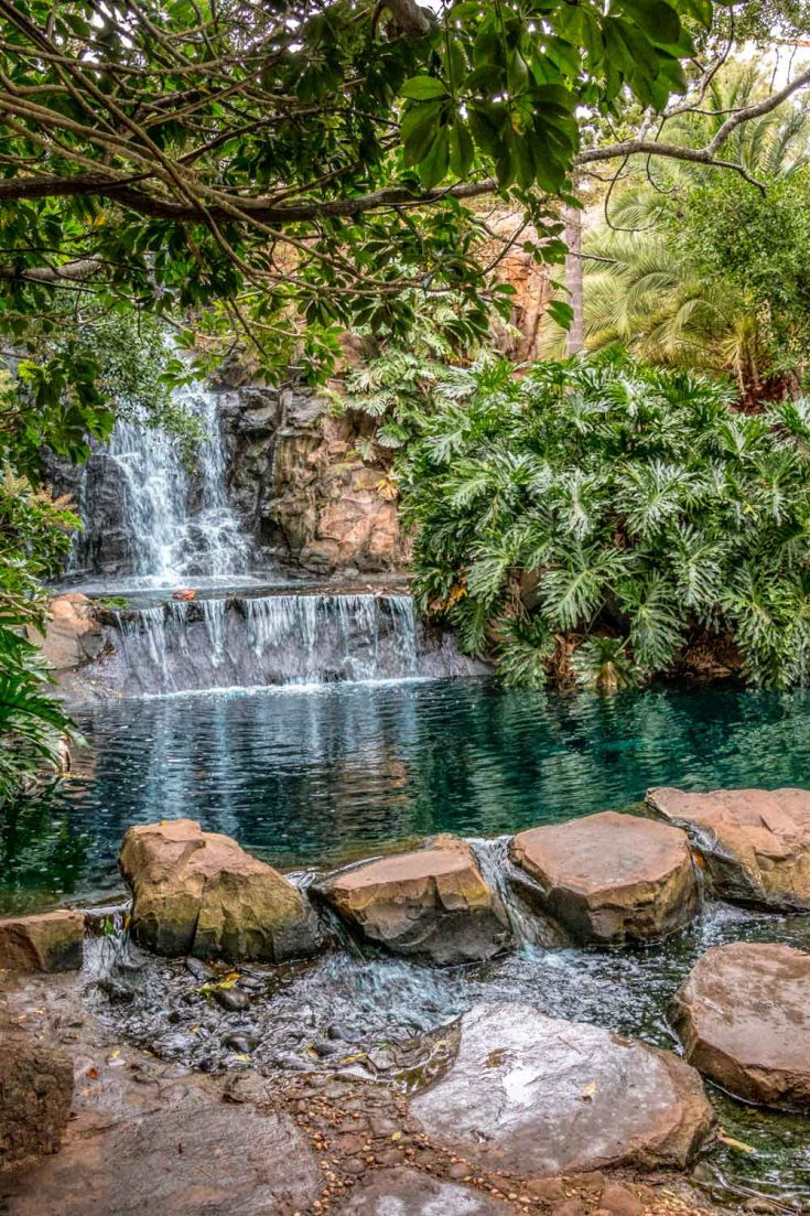 Picnic Point park and walking tracks - Toowoomba