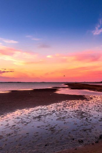 12 fun things to do in Redlands this weekend