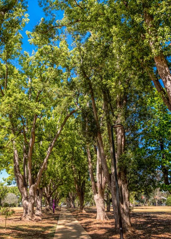 15 top things to do in Toowoomba