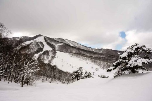 Exploring Iiyama, Japan | A family winter wonderland