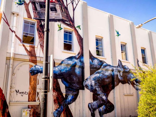 15 top things to do in Toowoomba