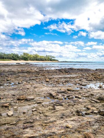 Exploring Hervey Bay beaches