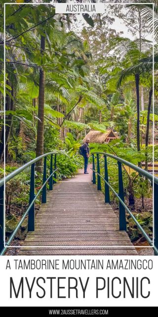 An AmazingCo mystery picnic on Tamborine Mountain