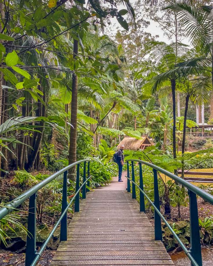 12 Fun things to do in Mt Tamborine