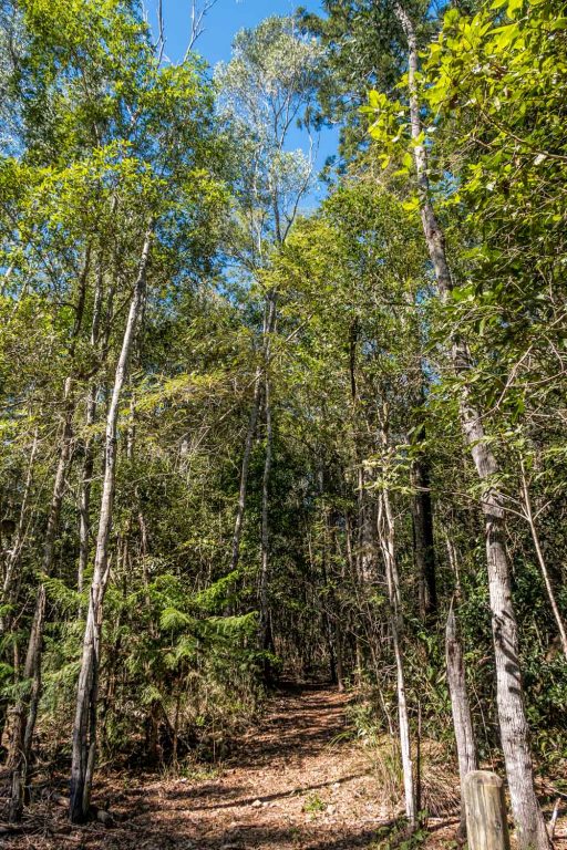 Lake Lenthall - a paradise for boaties, nature & camping
