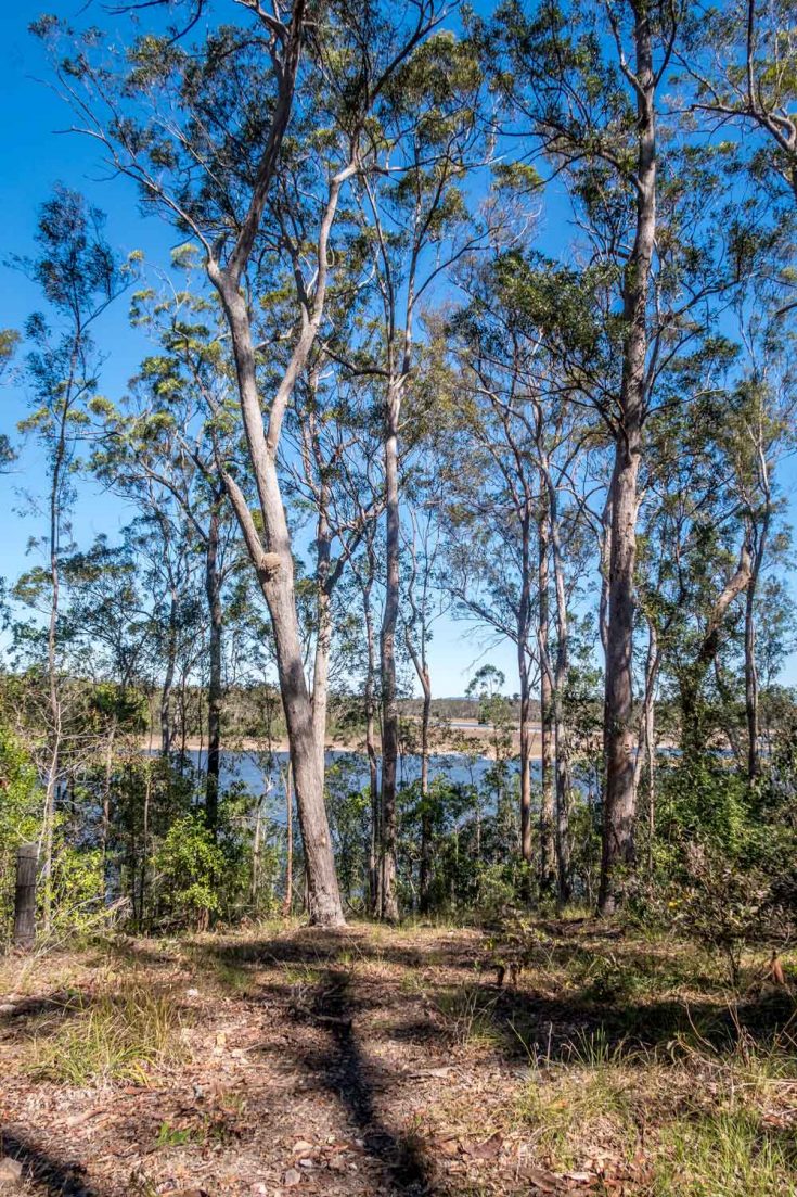 Lake Lenthall - a paradise for boaties, nature & camping