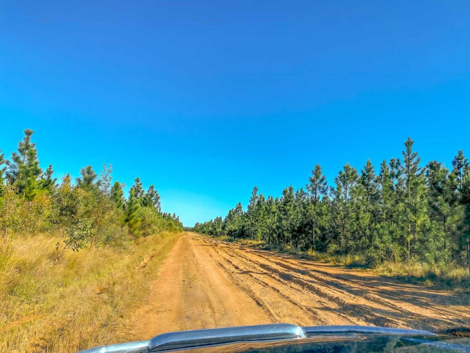 Lake Lenthall - a paradise for boaties, nature & camping