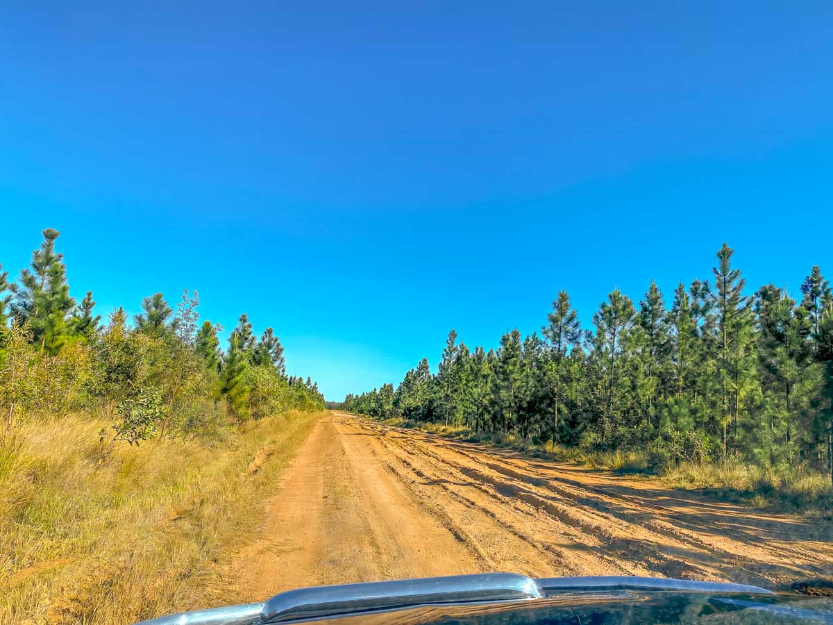 Lake Lenthall - a paradise for boaties, nature & camping