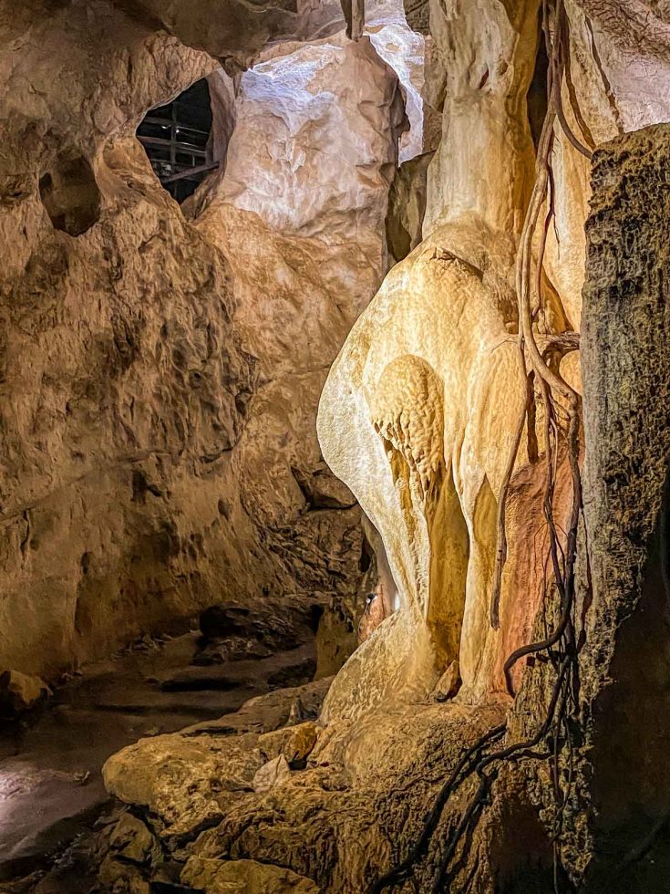 Capricorn Caves - a spectacular natural experience
