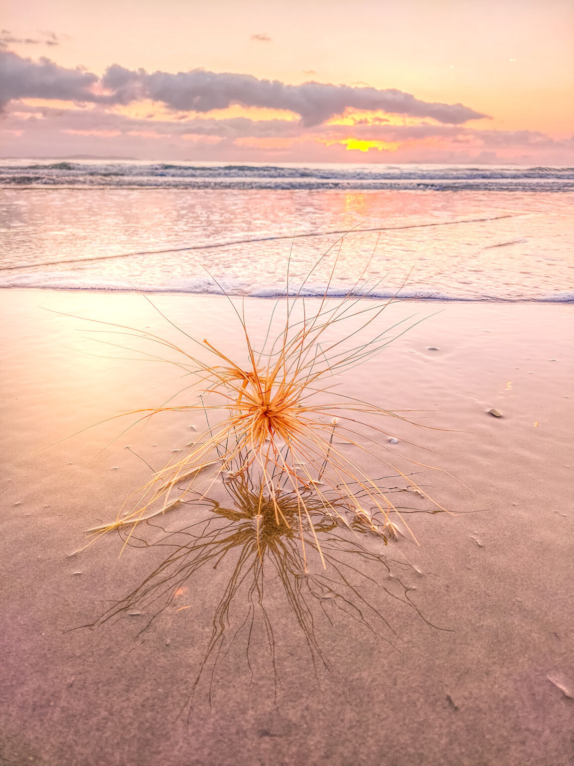 20 best things to do in Yeppoon, Capricorn Coast