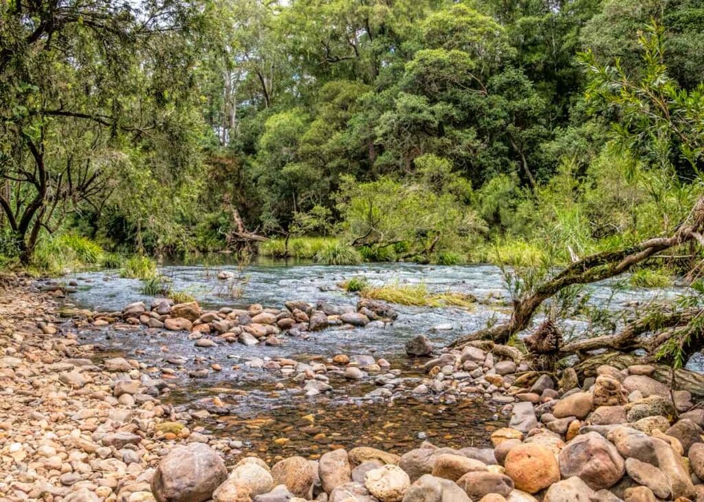 Stunning Springbrook waterfalls and picnic spots