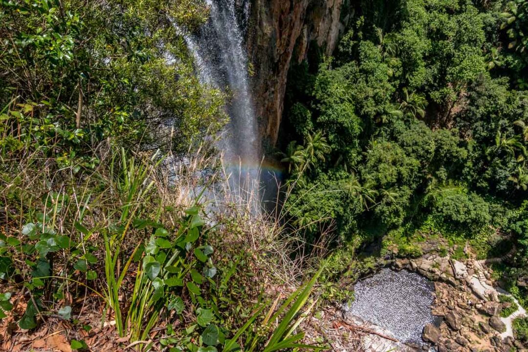 Stunning Springbrook waterfalls and picnic spots