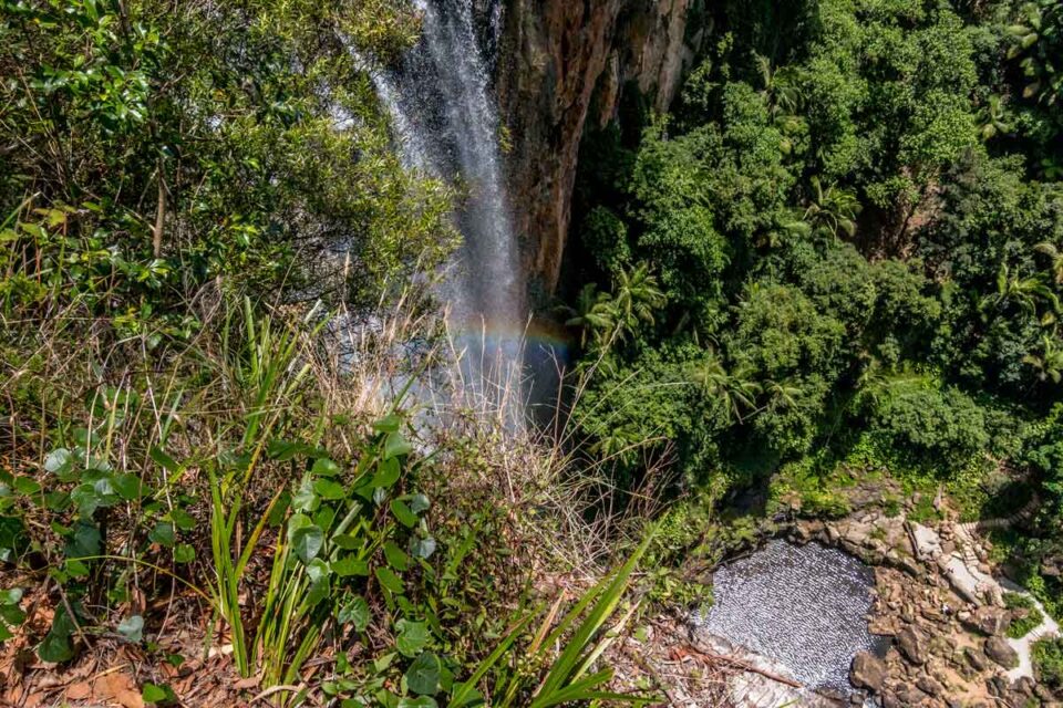 Stunning Springbrook waterfalls and picnic spots