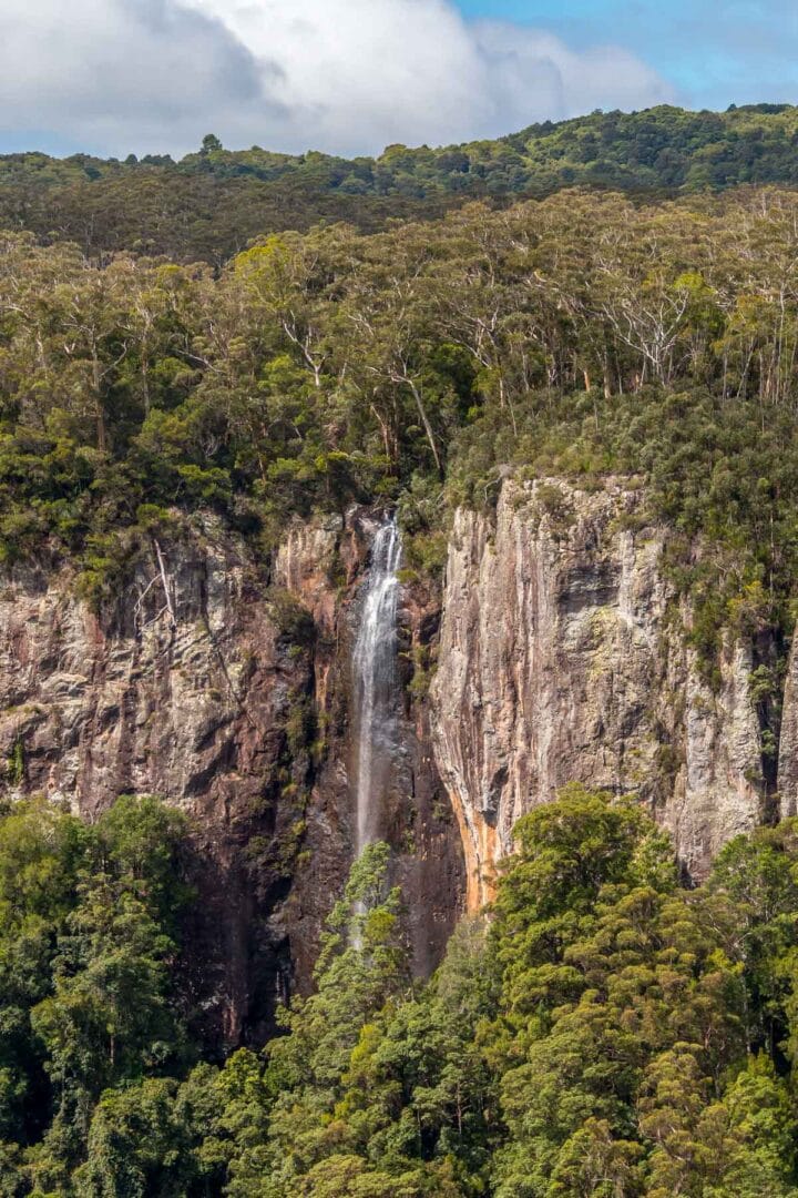 Stunning Springbrook waterfalls and picnic spots