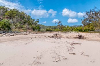 Great Keppel Island day trip or stay?