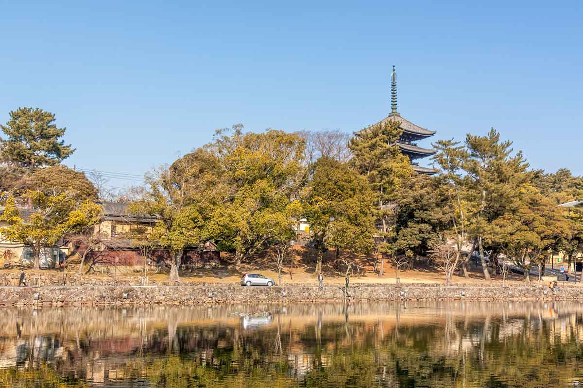 16 Fun Things to do in Nara - Day trip itinerary