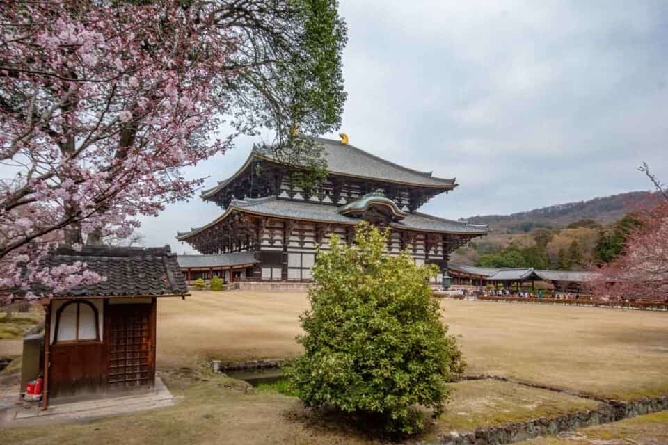 16 Fun Things to do in Nara - Day trip itinerary