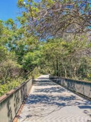 16 best things to do in Mooloolaba | visitors guide