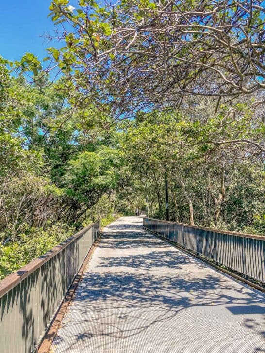 16 best things to do in Mooloolaba | visitors guide