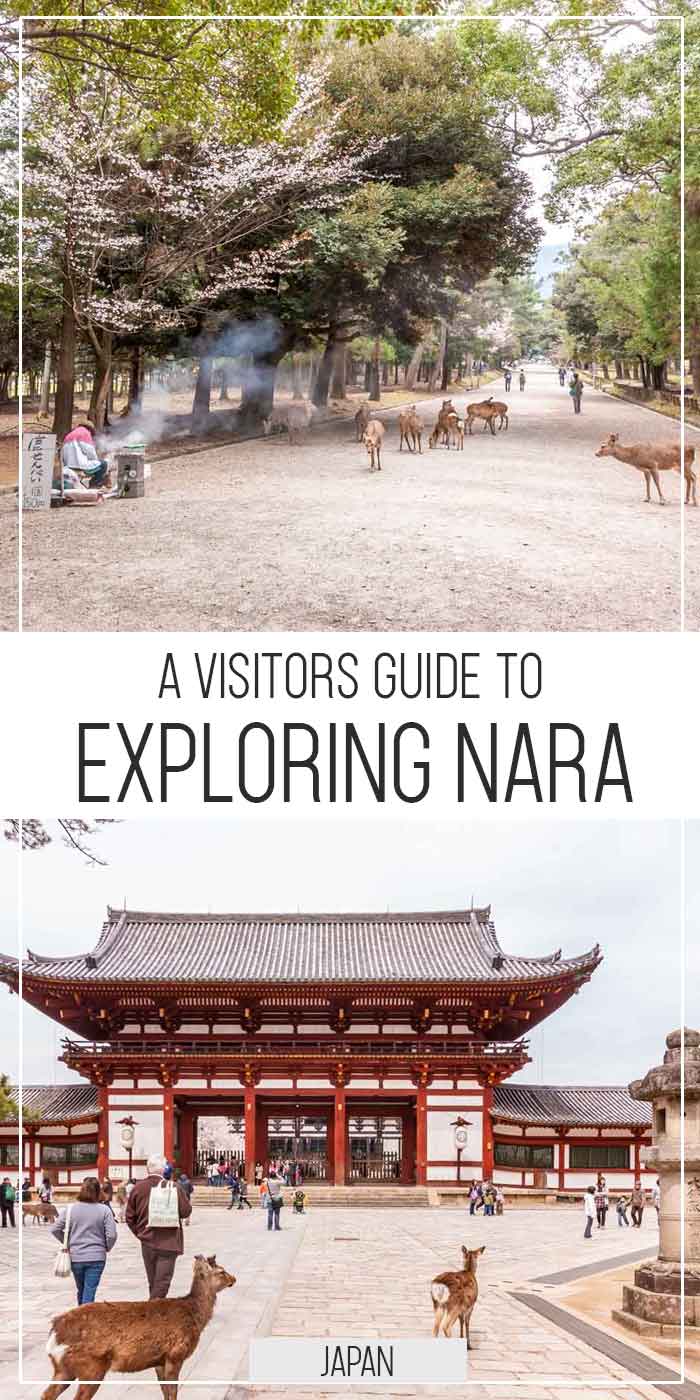 16 Fun Things to do in Nara - Day trip itinerary