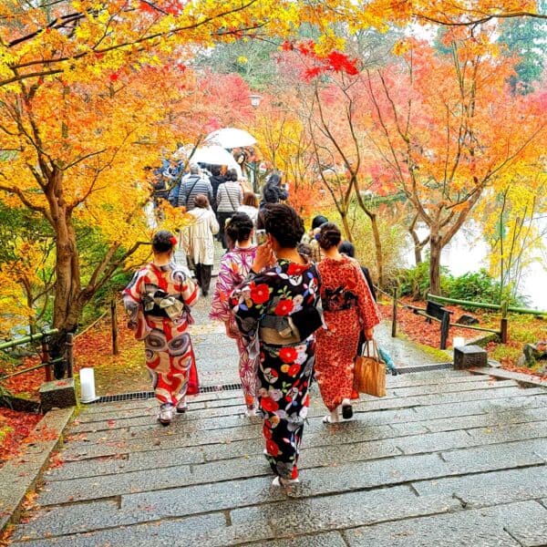 The wonders of Kairo - Japanese heat packs