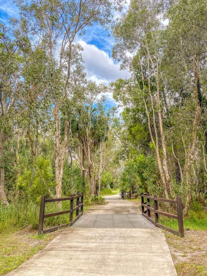 Tin Can Bay - your essential visitor's guide