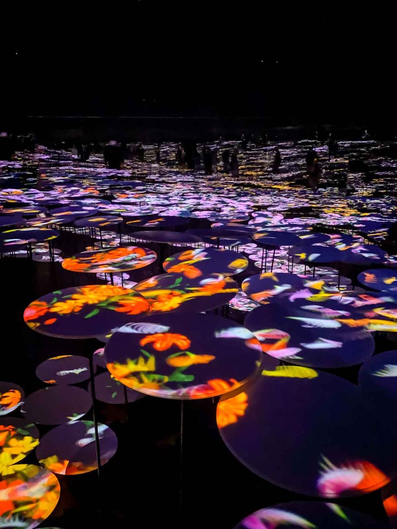 teamLab BORDERLESS where fun fuses with art in Tokyo